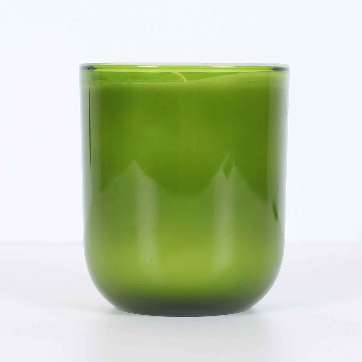 FM Candle - 12oz - CACTUS – FM